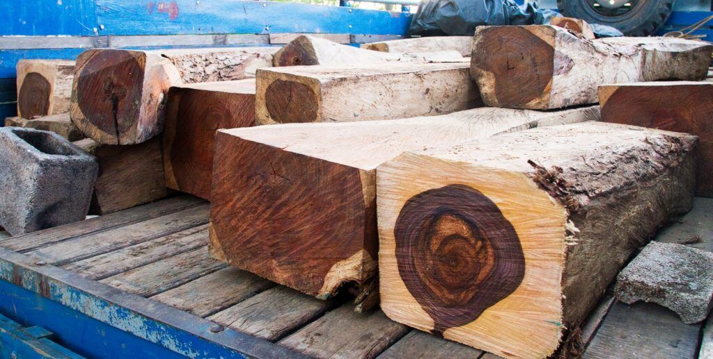 How and Why We Measure the Moisture in Wood