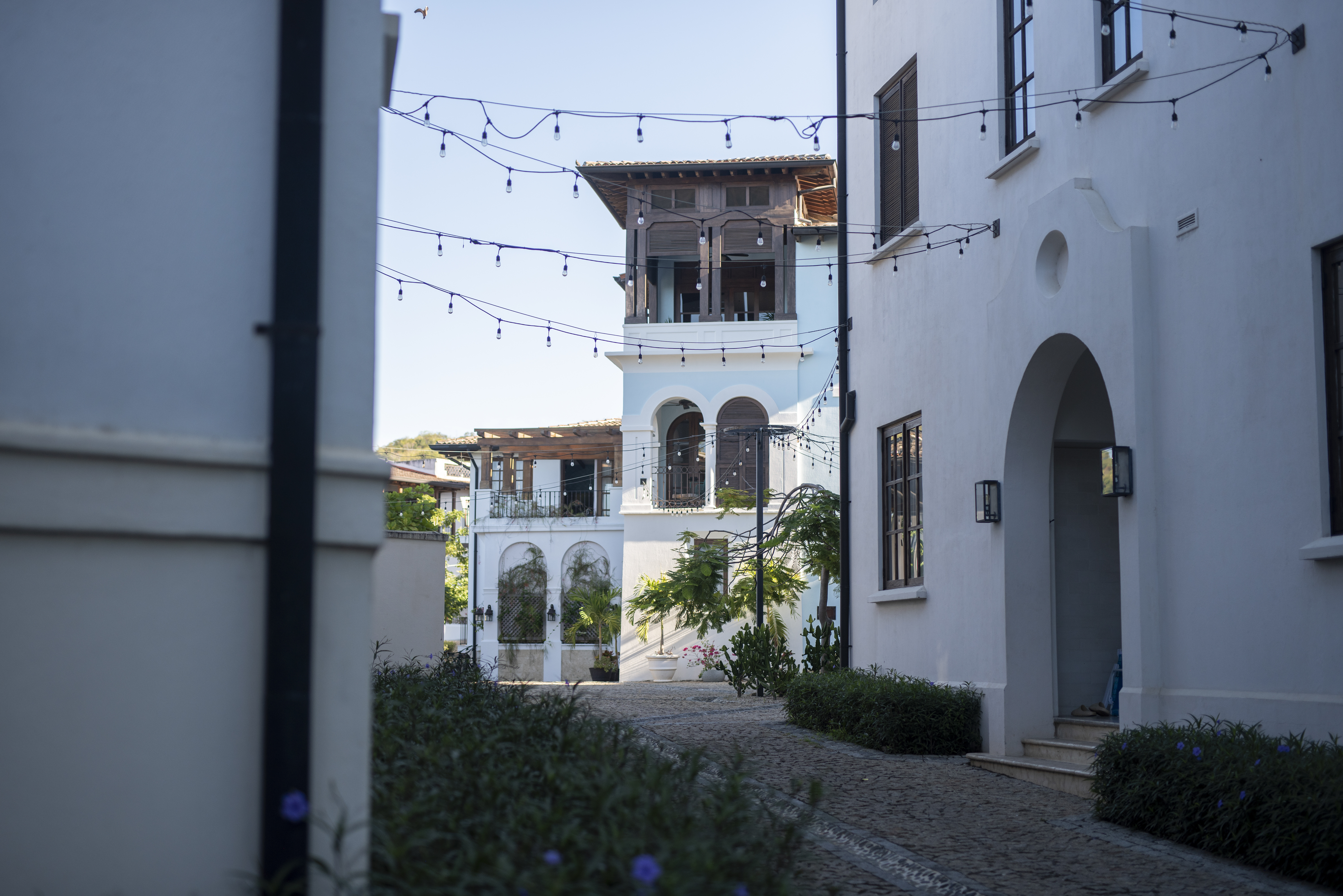 Events and Activities in Las Catalinas This Month