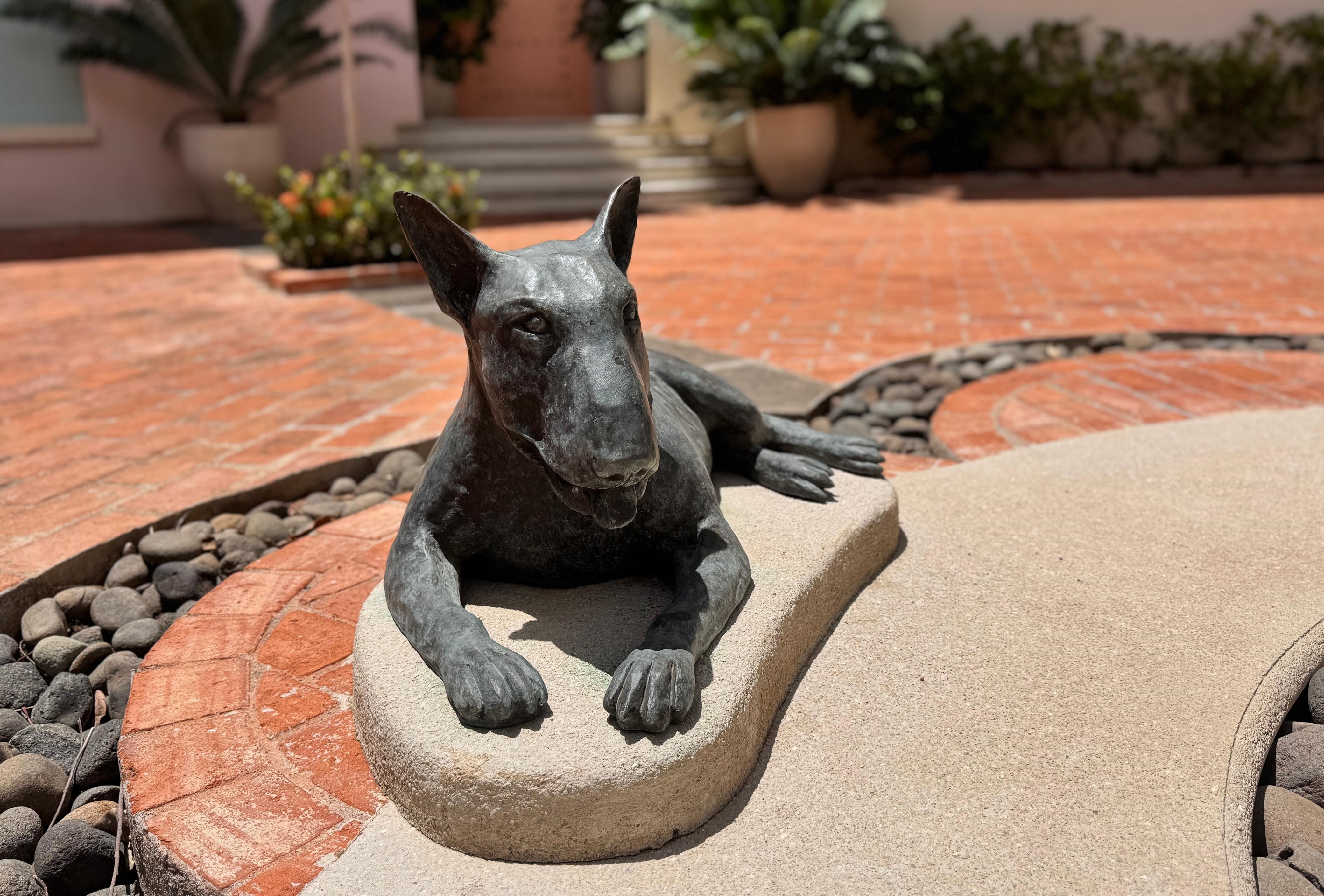 Honoring Papaya’s Life and Legacy in Town