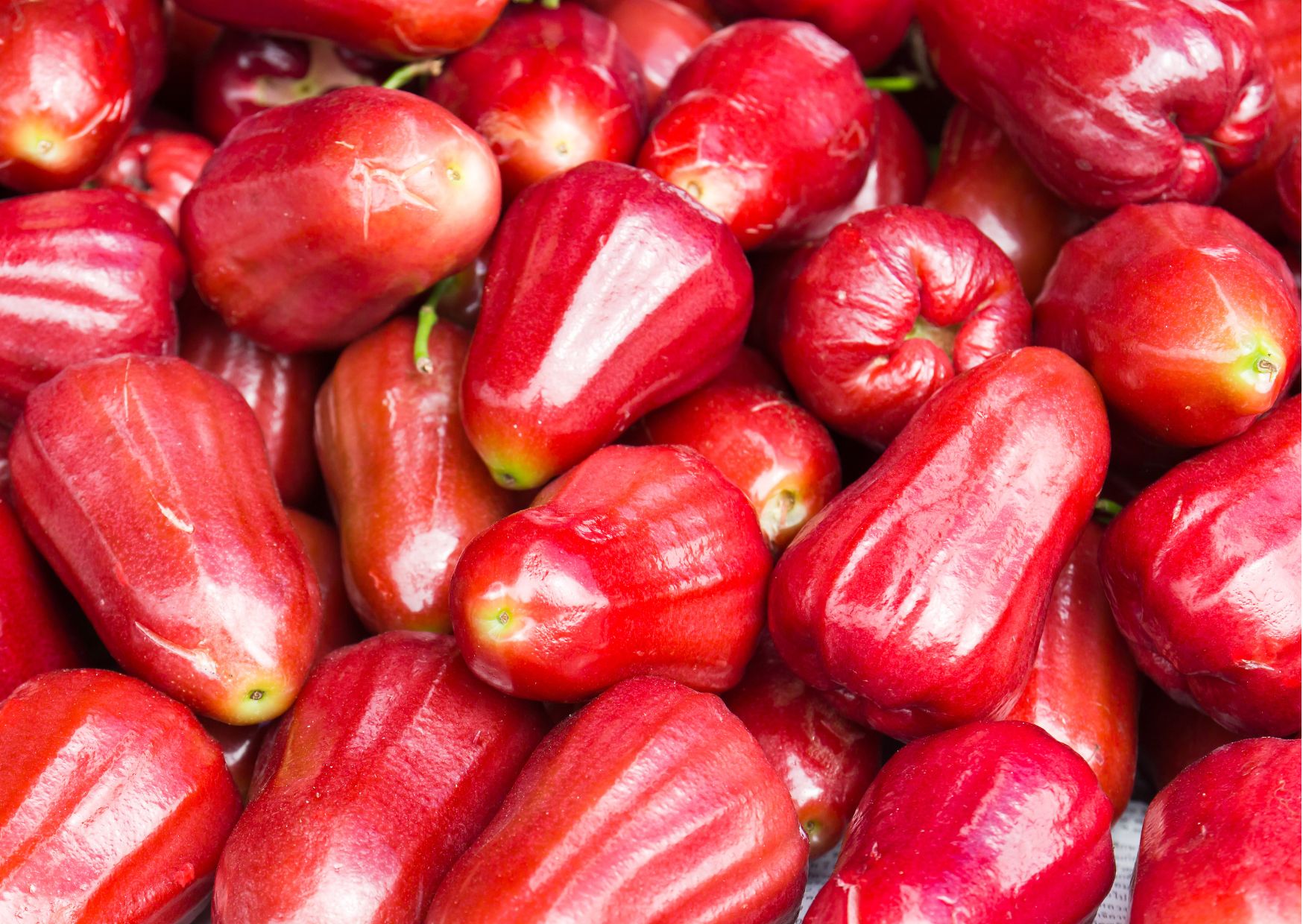 Sunday January 7, 2024.